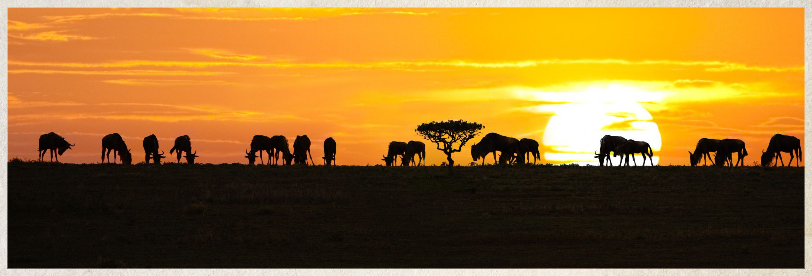 Audrey in The Wild – My Journey through the Wild